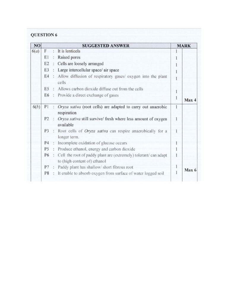Biology Schema | PDF