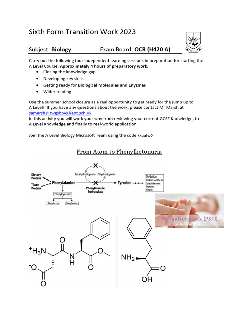 Biology Transition Work 2023 | Download Free PDF | Enzyme | Proteins