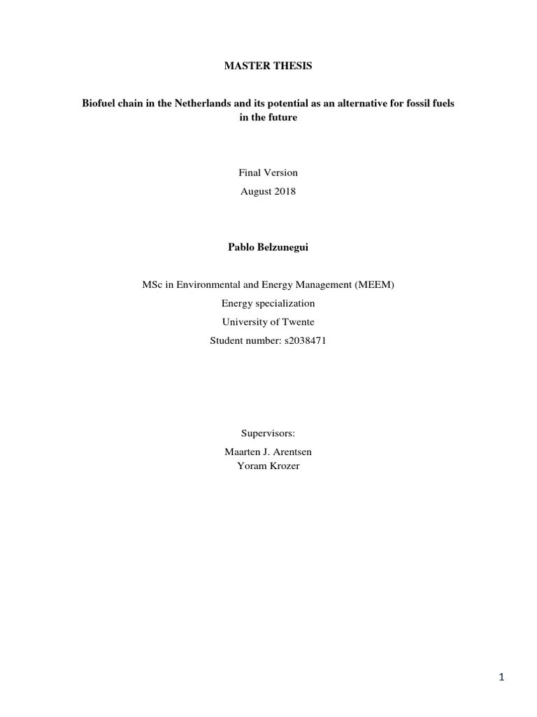 Master - Thesis - MEEM - Pablo - Belzunegui 17-18 | PDF | Biofuel ...