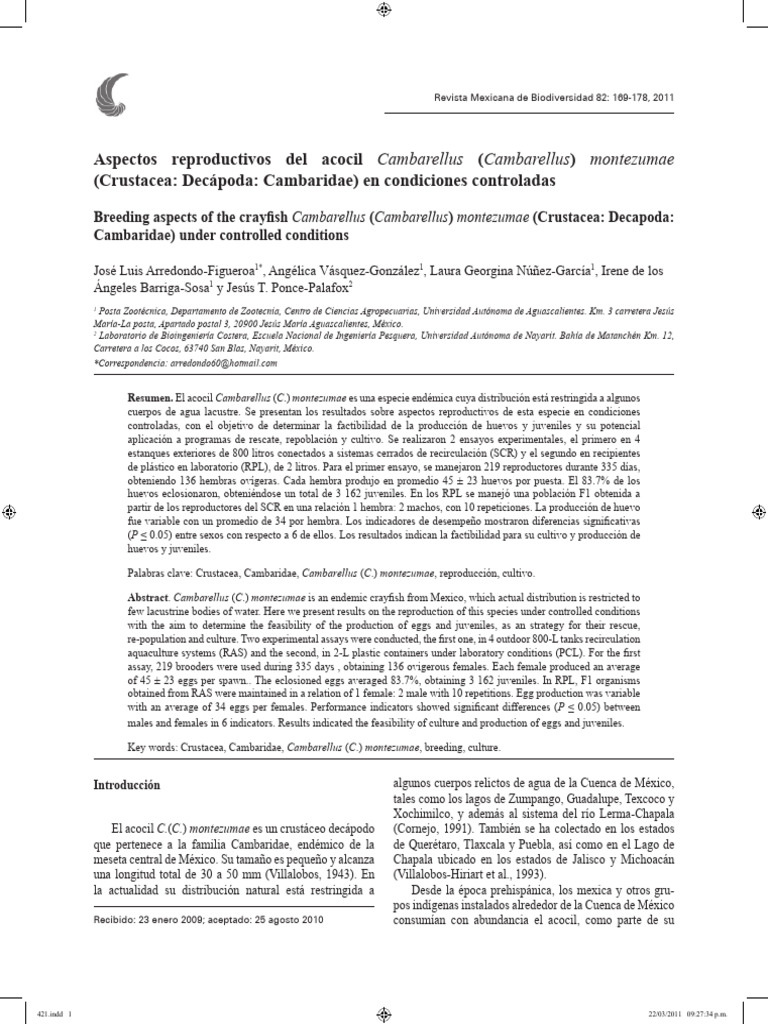Reproducción del acocil Cambarellus montezumae | PDF | Agua | México