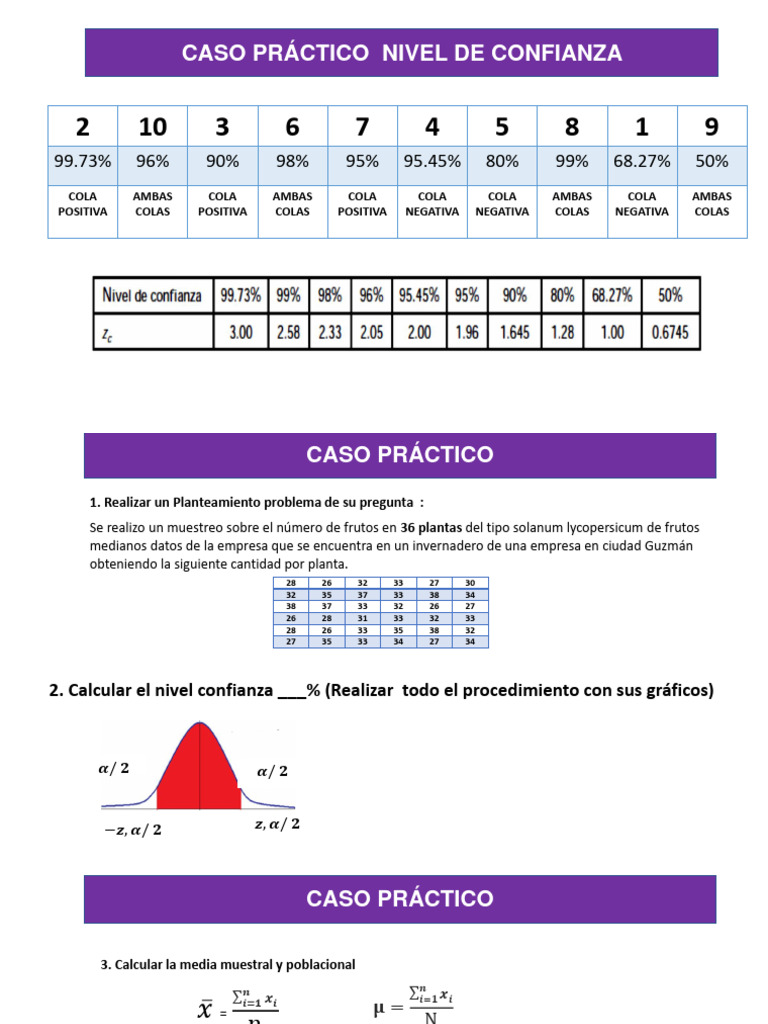 CASO PRACTICO P.E 1 | PDF | Desviación Estándar | Media