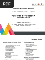 Formato Portada Portadilla Tesis-Unam | PDF | Ciencia y matemáticas