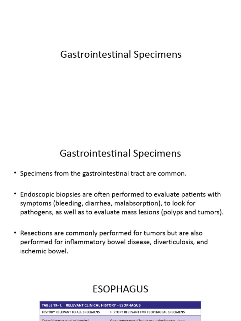 Gross Upper Gi | PDF | Esophagus | Gastroesophageal Reflux Disease