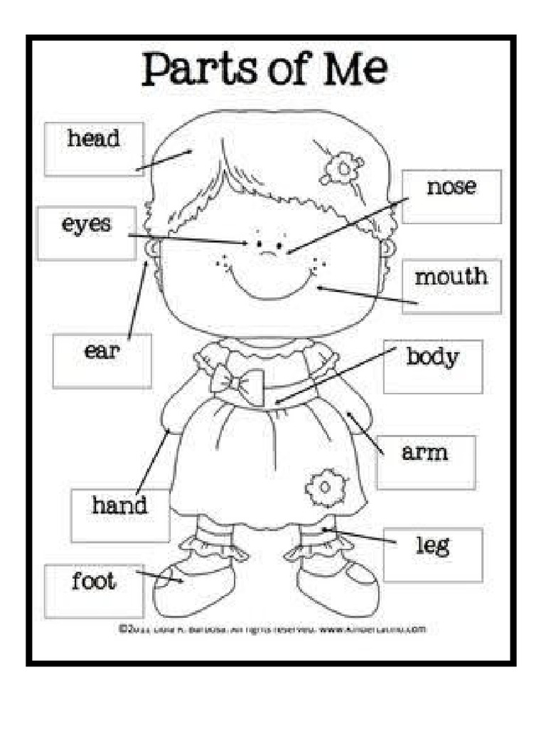 Body Parts Paint | PDF