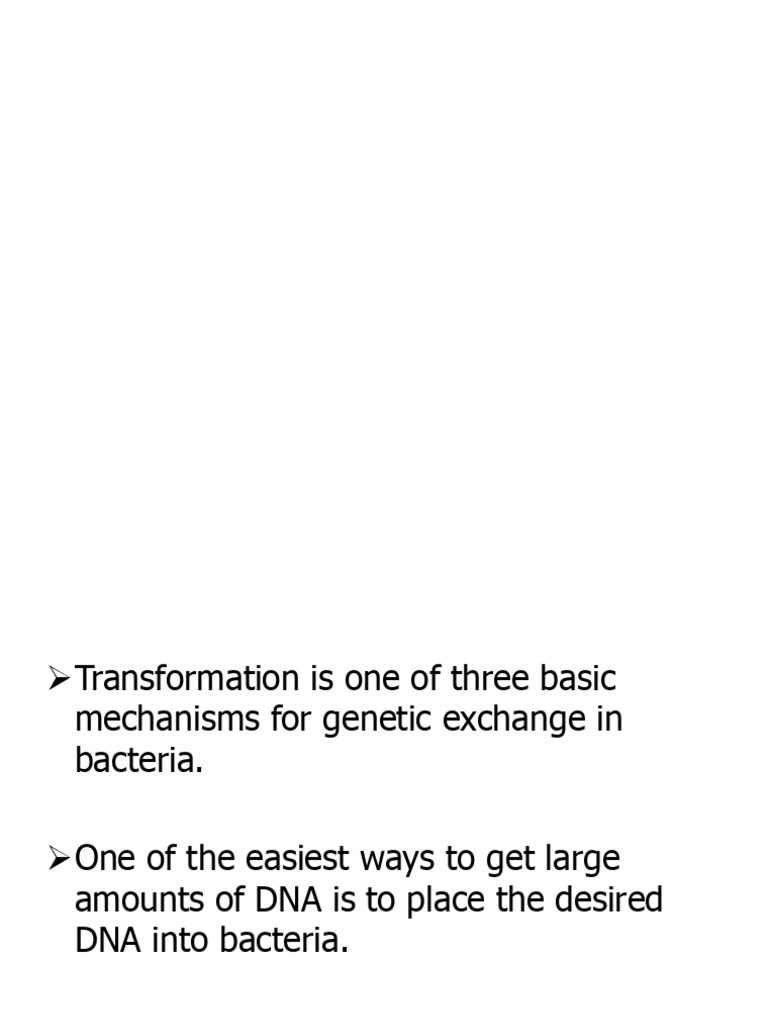 Bacterial Transformation | PDF | Transformation (Genetics) | Bacteriophage