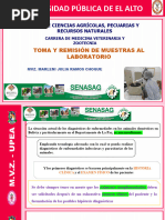 Rotulación e Identificación de Muestras | PDF | Histopatología ...