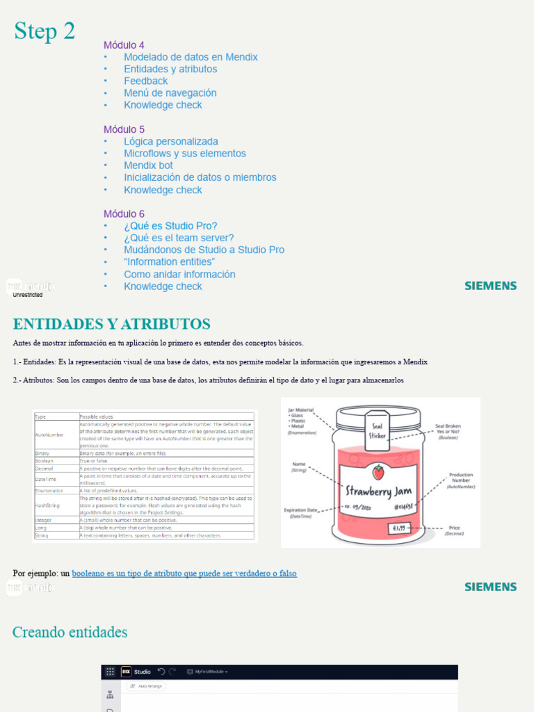 Mendix Mod 4 5 6. | PDF | Bases de datos | Computación en la nube