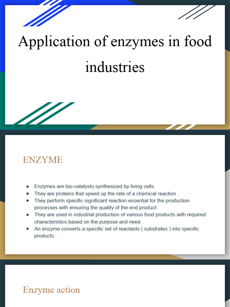 Application of Enzymes in Food Industries | Download Free PDF | Enzyme Kinetics | Enzyme