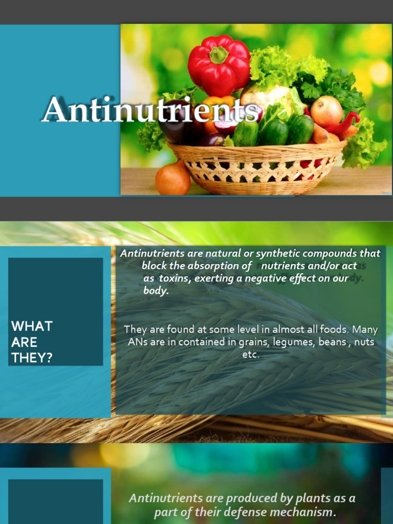 Antinutrients | PDF | Nutrition | Diet & Nutrition