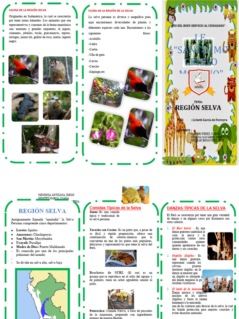 Triptico Selva | PDF | Selva amazónica | Perú