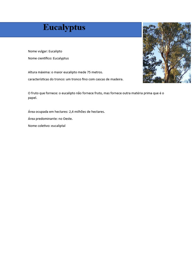 Eucalipto | PDF