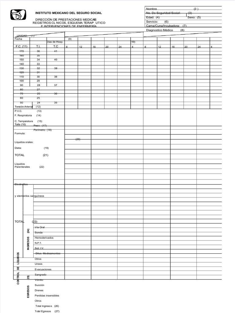 Vdocuments - MX Instructivo Hoja Enfermeria Del Imss 2011 | PDF ...