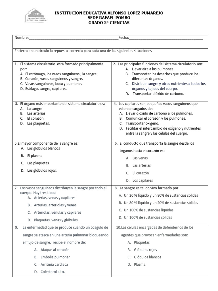 Quiz sobre el sistema circulatorio | PDF | Sangre | Sistema circulatorio