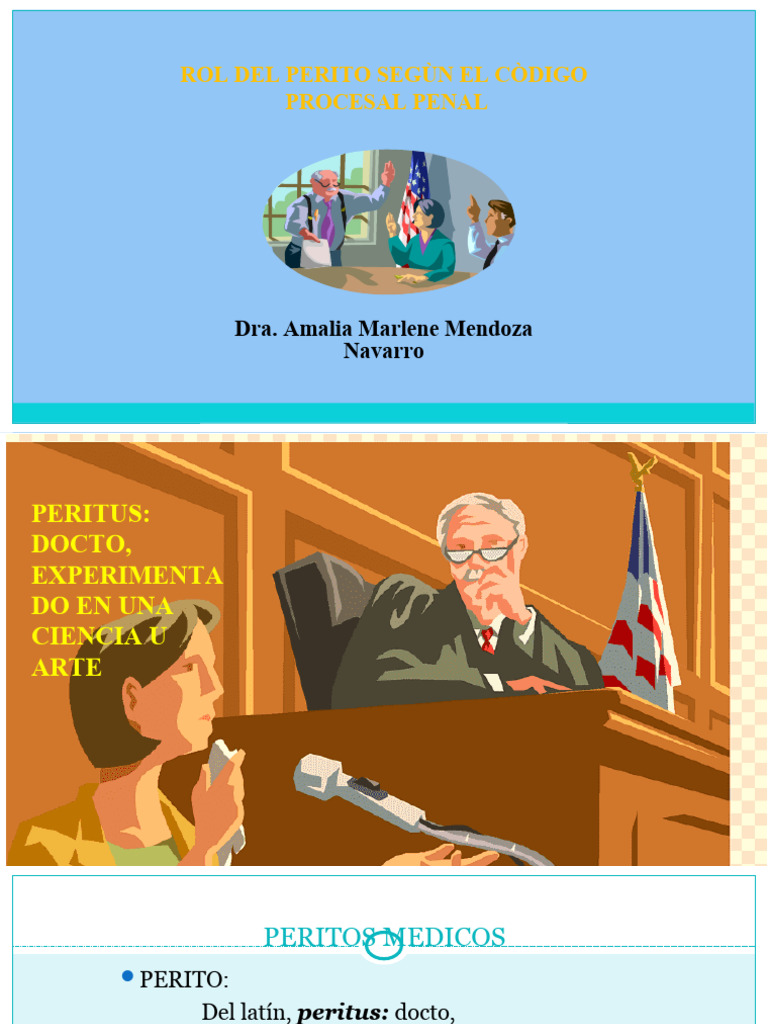 Rol Del Perito Forense. Upao 2023 | PDF | Testigo experto ...