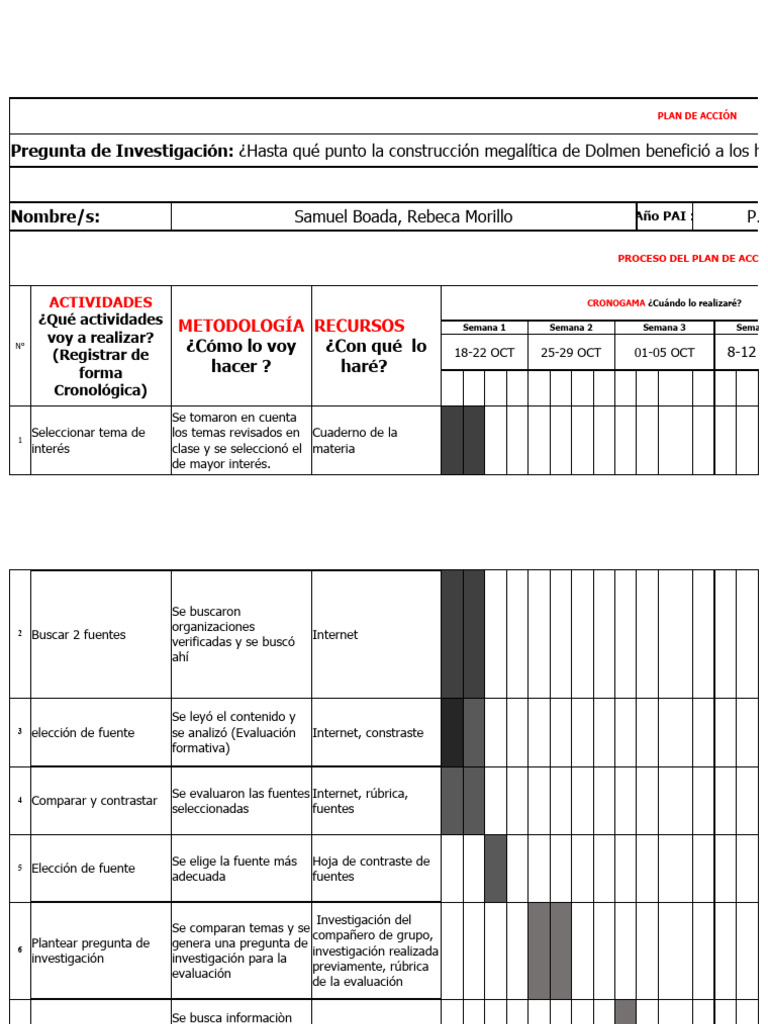 Formato De Elaboración Y Aplicación De Plan De Acción Pdf