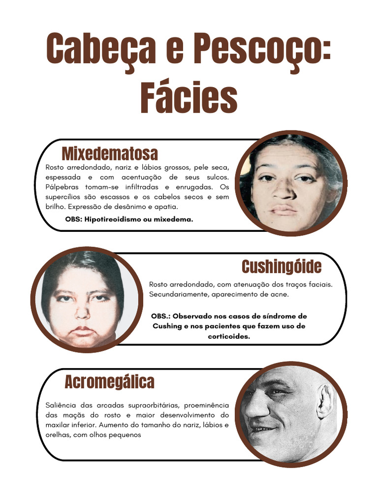 Fácies | PDF | Rosto | Anatomia