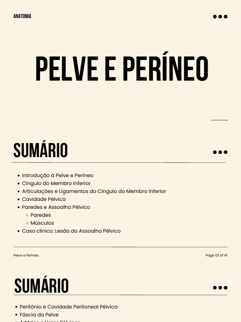 Pelve e Períneo | PDF | Pélvis | Anatomia