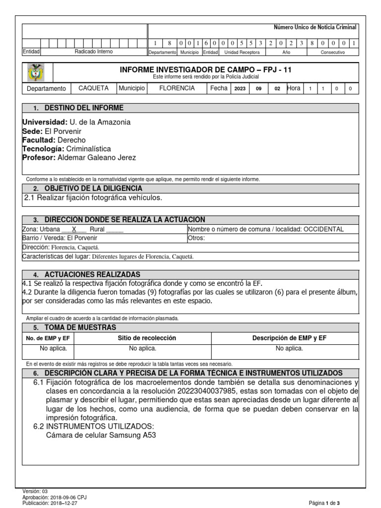 FPJ 11 Informe Investigador de Campo V 03 | PDF | Vehículo de motor | Coche