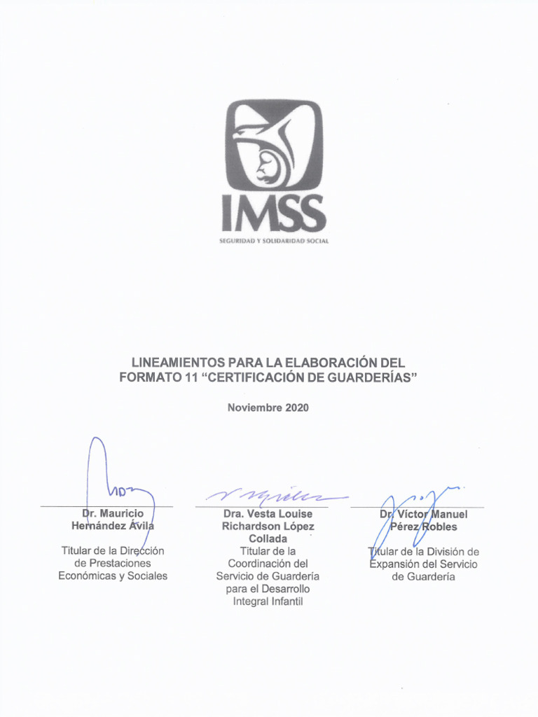 Lineamientos Formato 11 | PDF