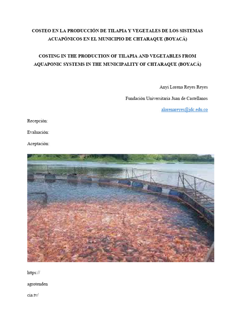 Articulo Anyi Lorena Reyes Reyes | PDF | Producto (Negocio) | Mercado ...