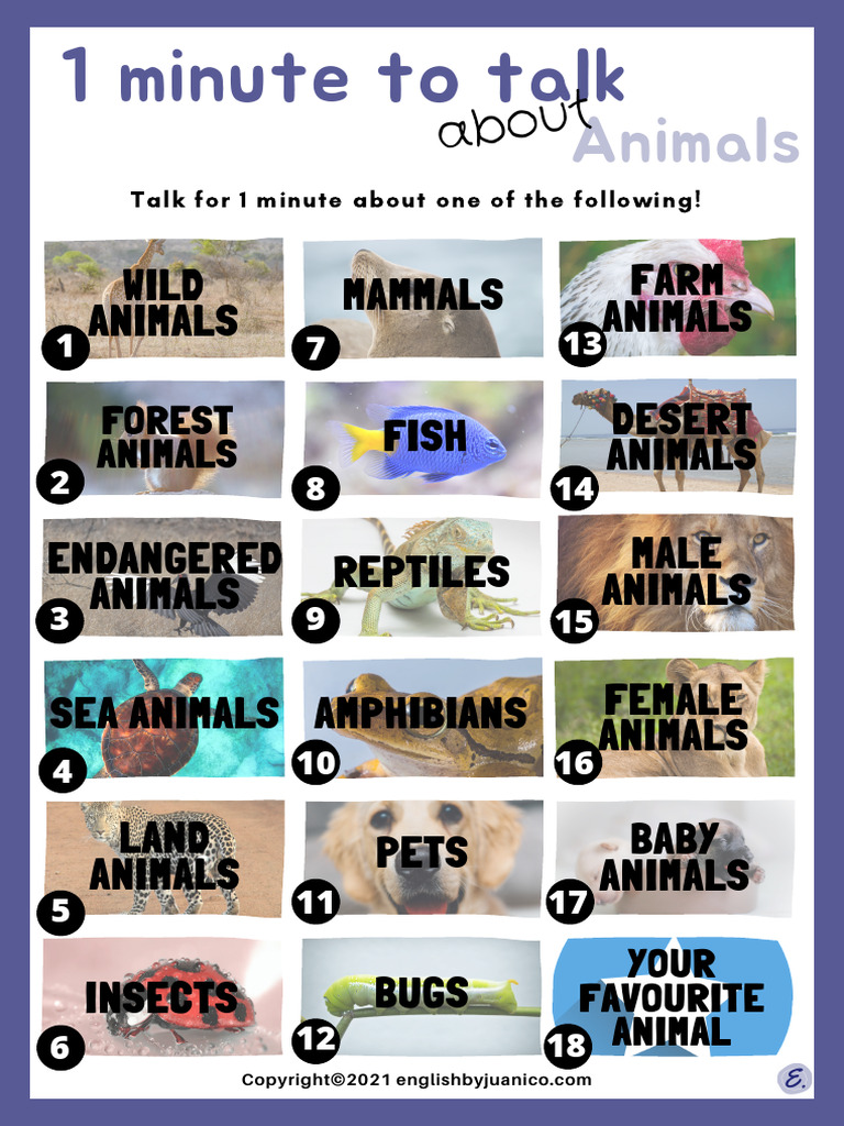 1 Minute To Talk About - Animals - FREE PDF | PDF