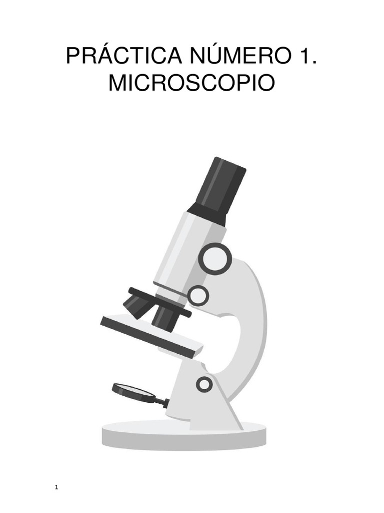 Práctica Microscopio 1.0 (1) - 1 | PDF | Microscopio | Óptica