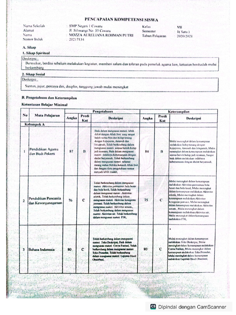 Raport Semester 1 | PDF