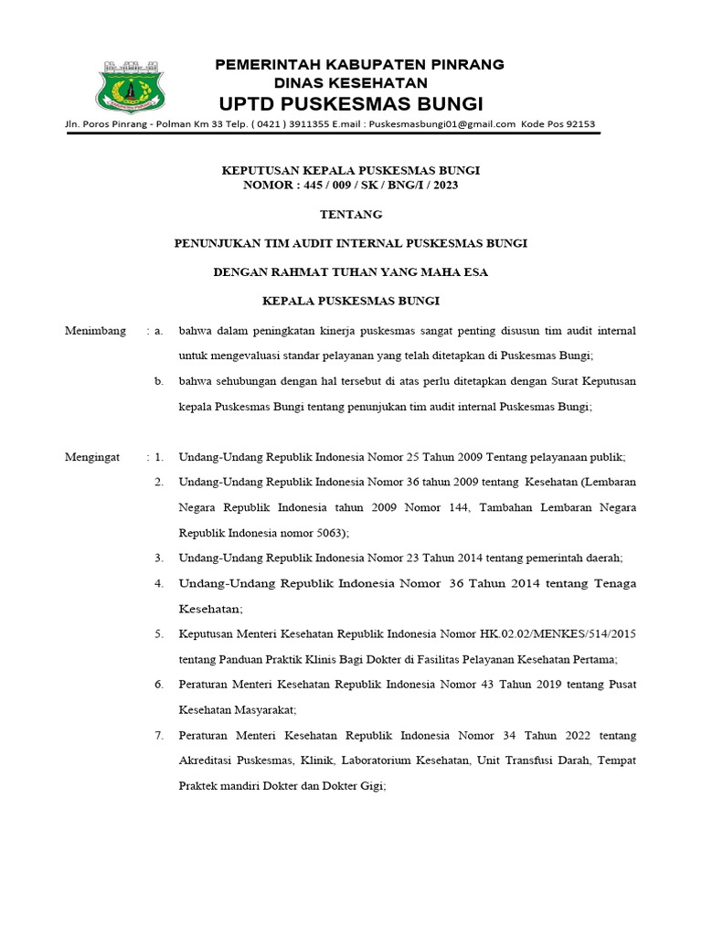SK Tim Audit 2023 | PDF