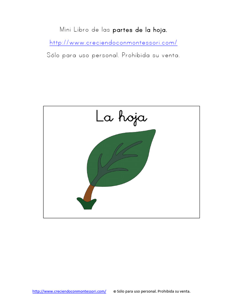 Partes y funciones de la hoja | PDF