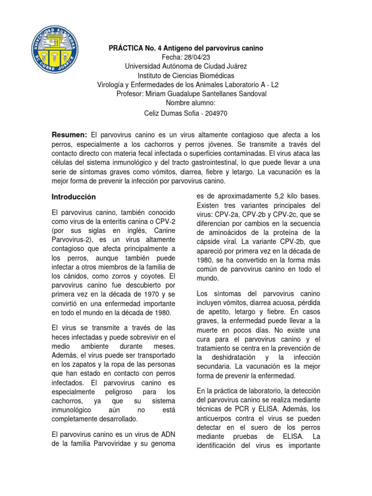 Reporte de practica Prueba Parvo | PDF | Virus | Elisa