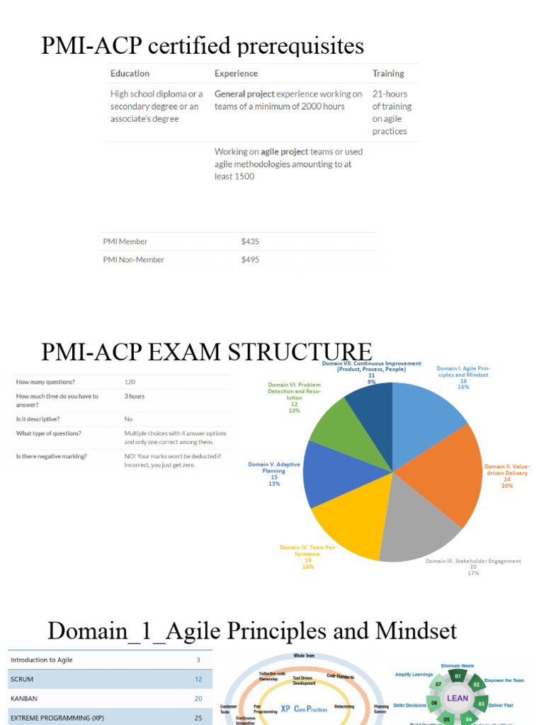 PMI Domain 1 Sumary | PDF