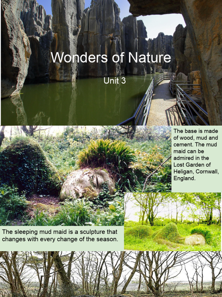 Wonders of Nature | PDF