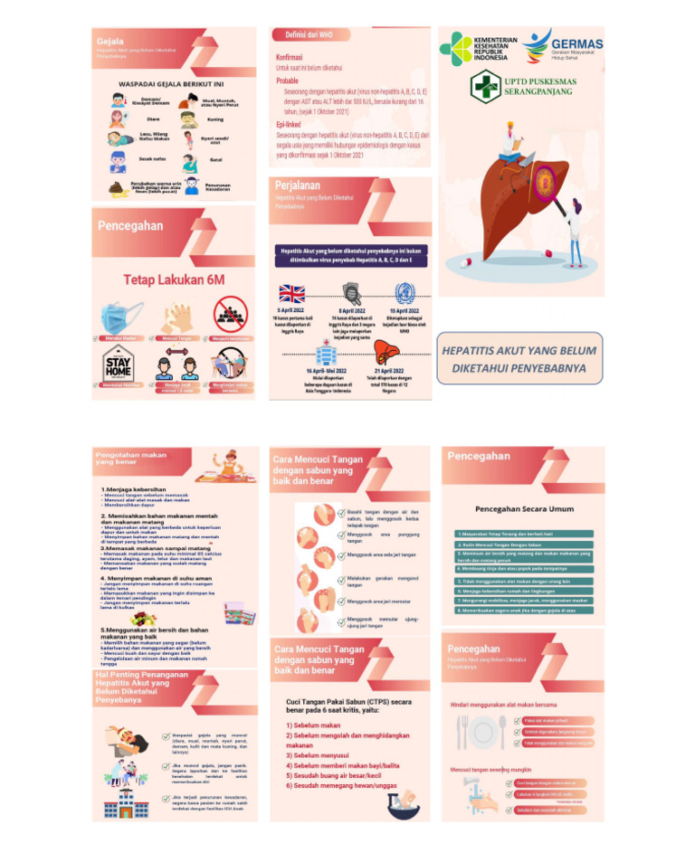 Leaflet Hepatitis Legala | PDF