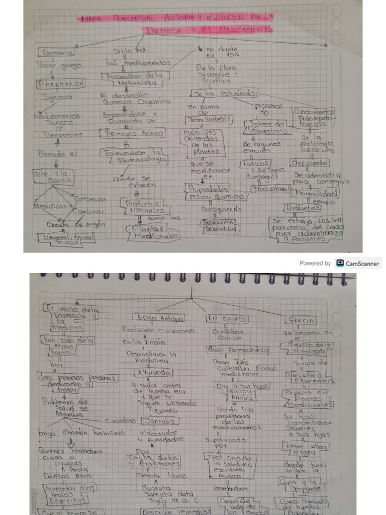 Mapas Conceptuales | PDF