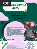 El Timo Animal | PDF