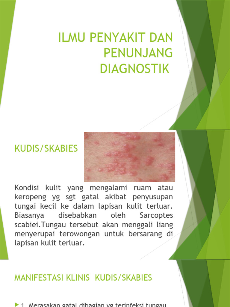 Ippd Penyakit 1 | PDF