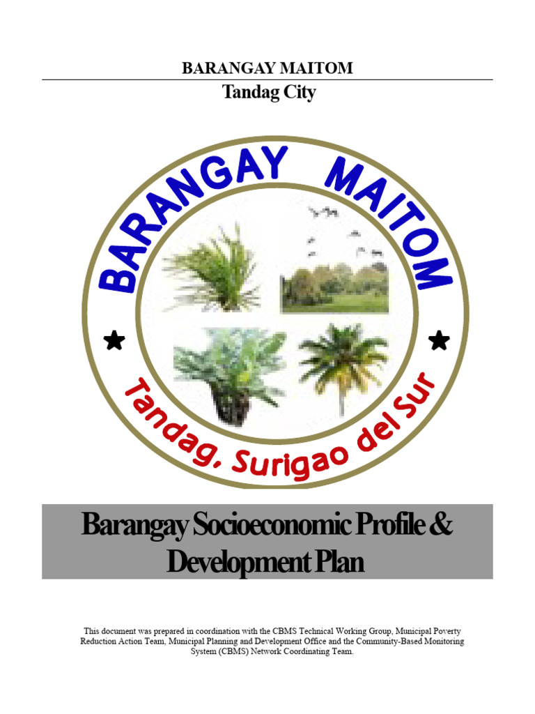 Barangay Development Plan Final | PDF | Municipal Solid Waste ...