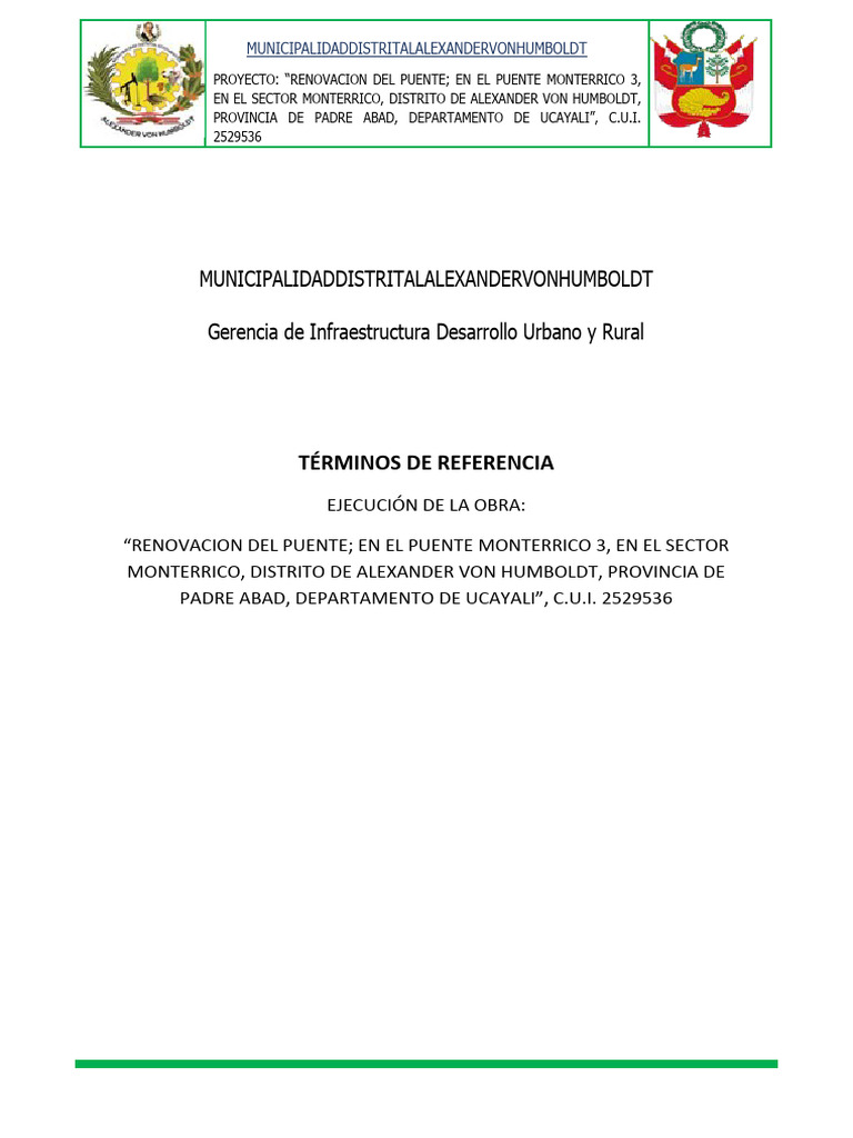 TDR Puente Monterrico Von Humboldt - V.1. OK | PDF | Presupuesto