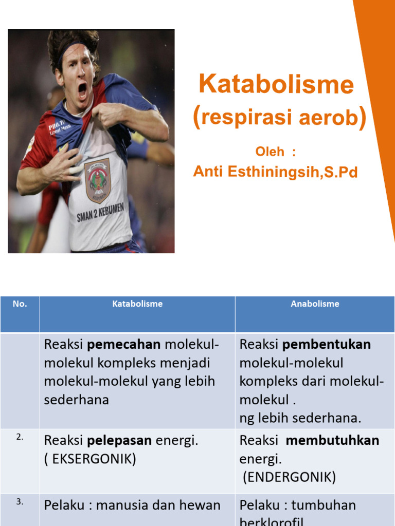 Katabolisme-Respirasi Aerob | PDF