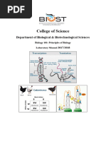 Biochemical Test and Identification of E.coli | PDF | Escherichia Coli