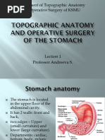 Anatomy and Physiology of the Umbilicus | PDF | Abdomen | Vein