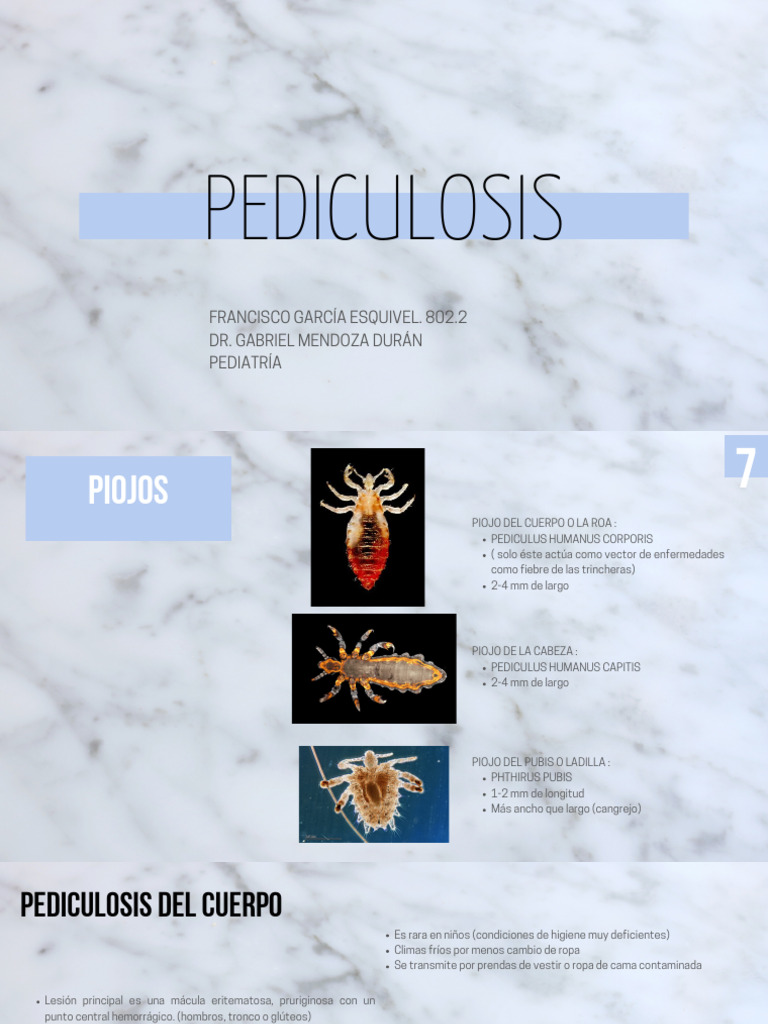 Pediculosis - 2 | PDF | Parasitología