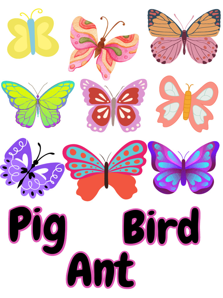 Pig Pig Bird Bird Ant Ant | PDF