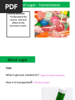 Blood Glucose Homeostasis Flowchart | PDF