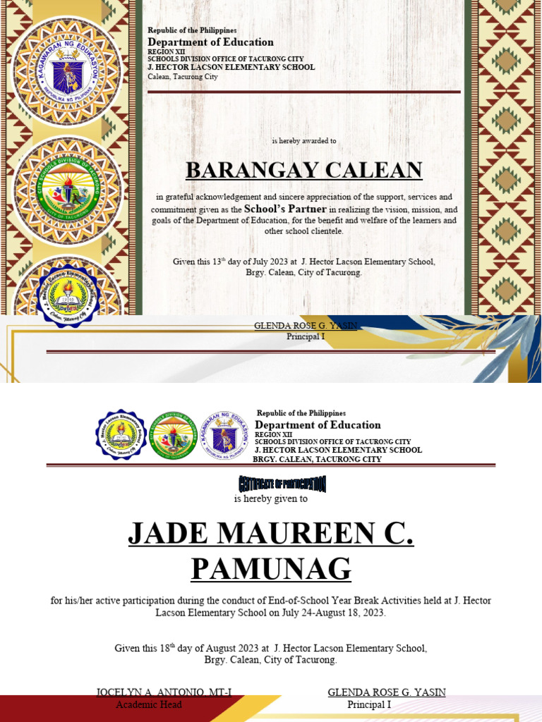 Certificates of Appreciation and Participation | PDF | Government