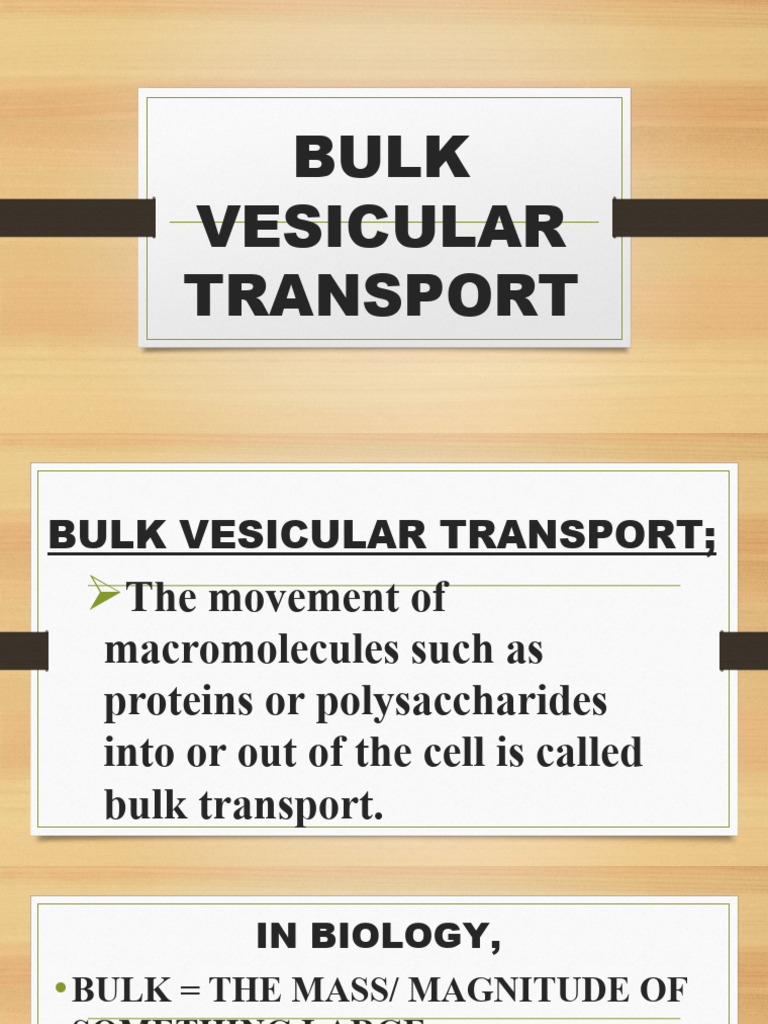 Biology in SHS Bulk Vesicular Transport Reviewer | PDF | Vesicle ...