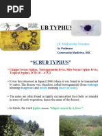 DILO Template | PDF | Software Testing | Software Bug