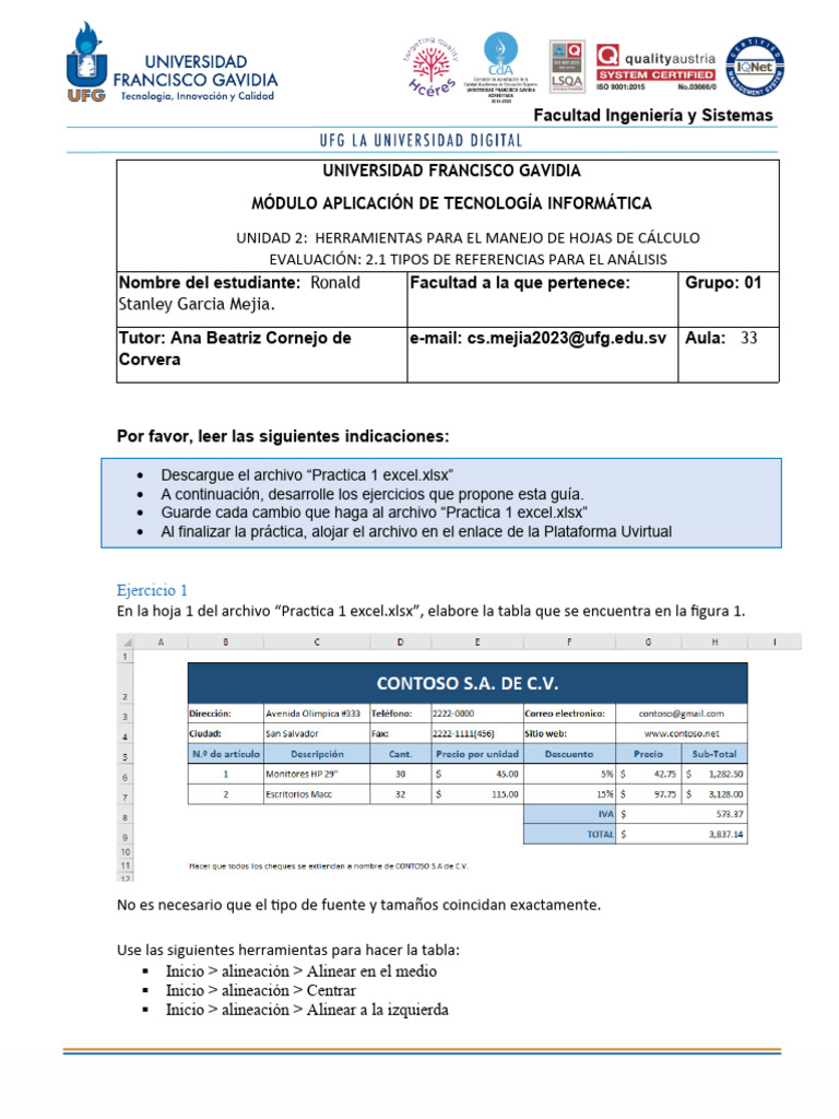 Guía Práctica 1 Excel | PDF | Informática
