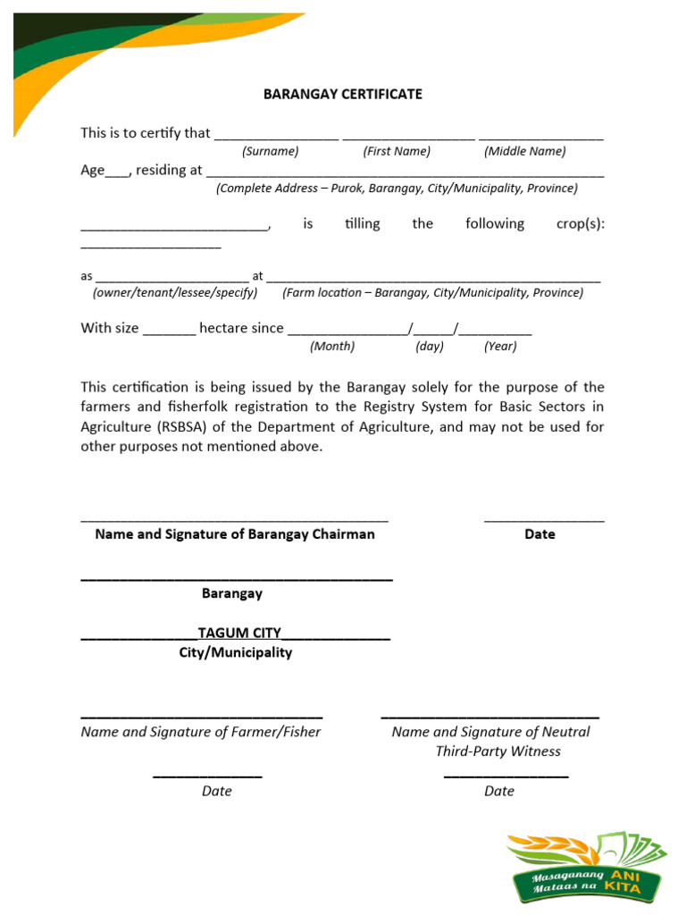 Brgy Cert RSBSA | PDF