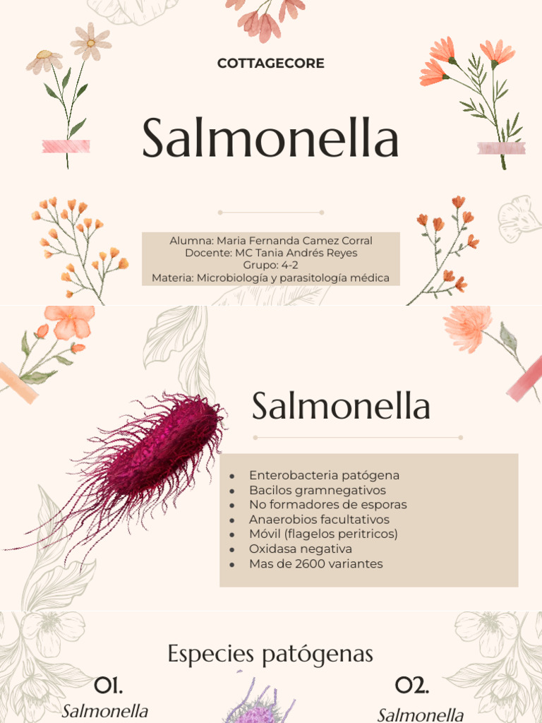 Salmonella | PDF | Salmonela | Medicina